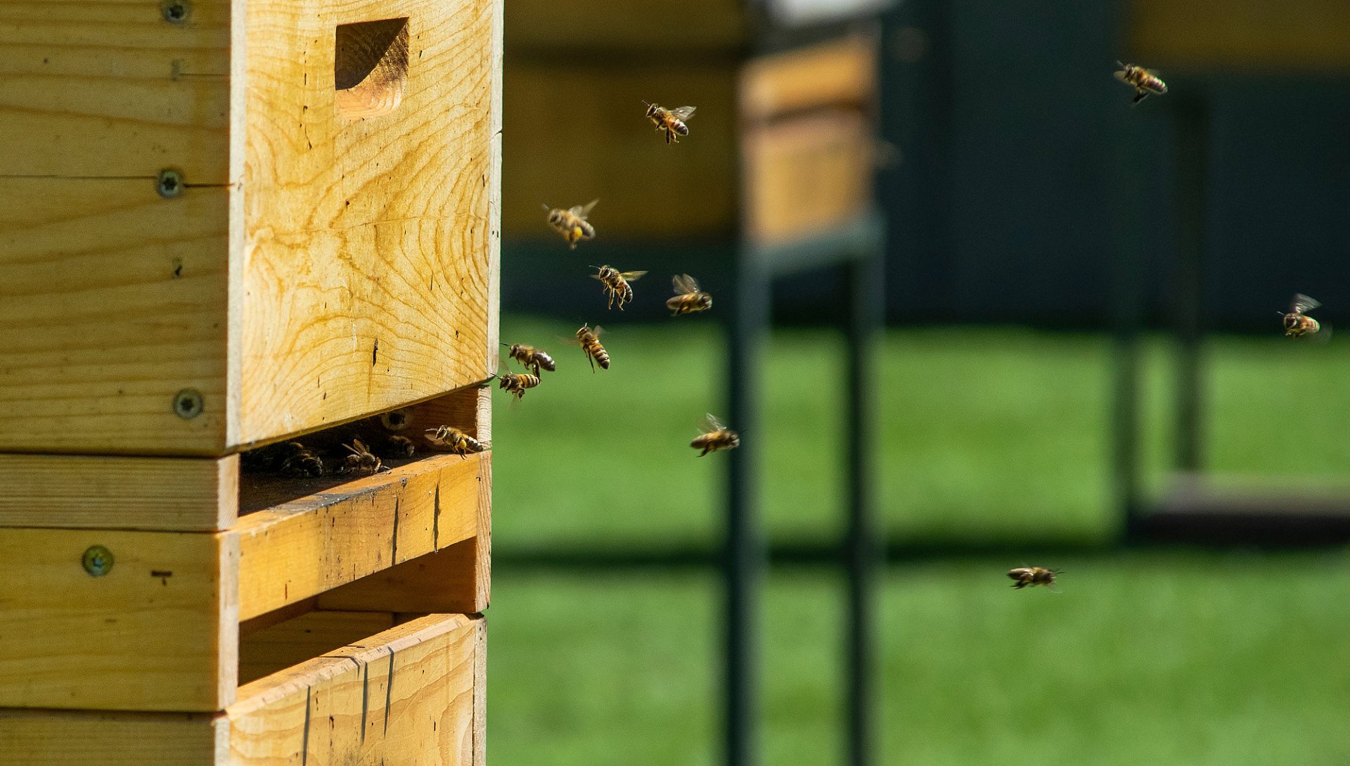 ESSOX – Spotřebitelské financování